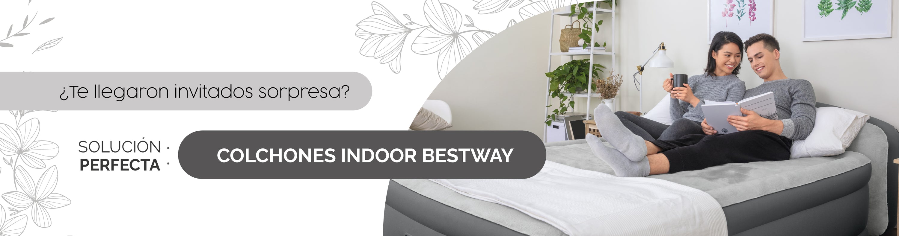 Productos Bestway Store - Bestway